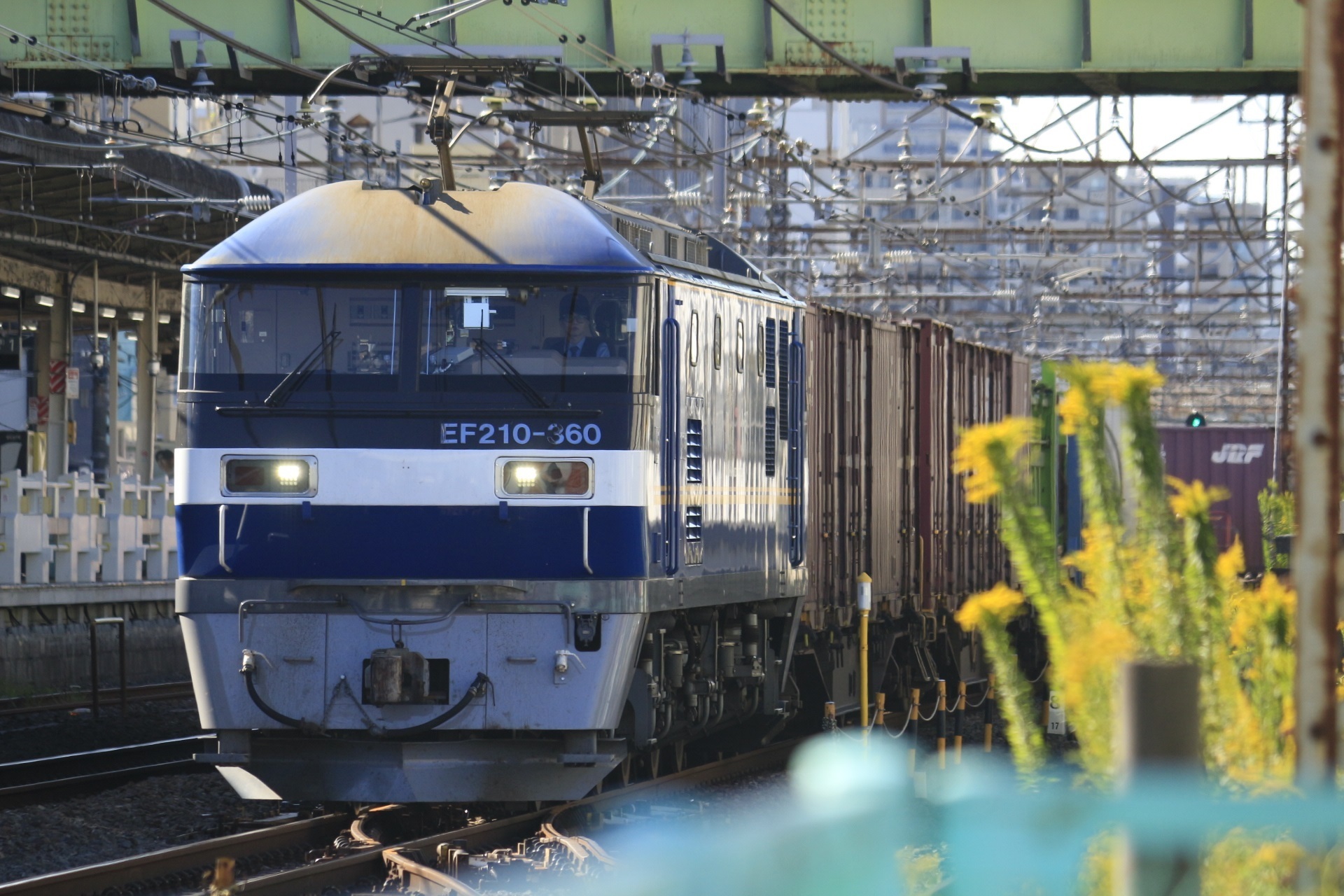 ’24年11月24日の馬橋周辺の貨物列車: 変速ショック2